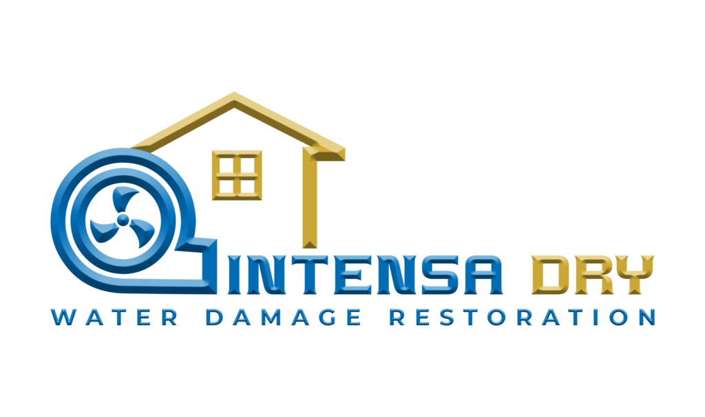 Expert Water & Fire Damage Restoration in Plano, TX | Intensa Dry